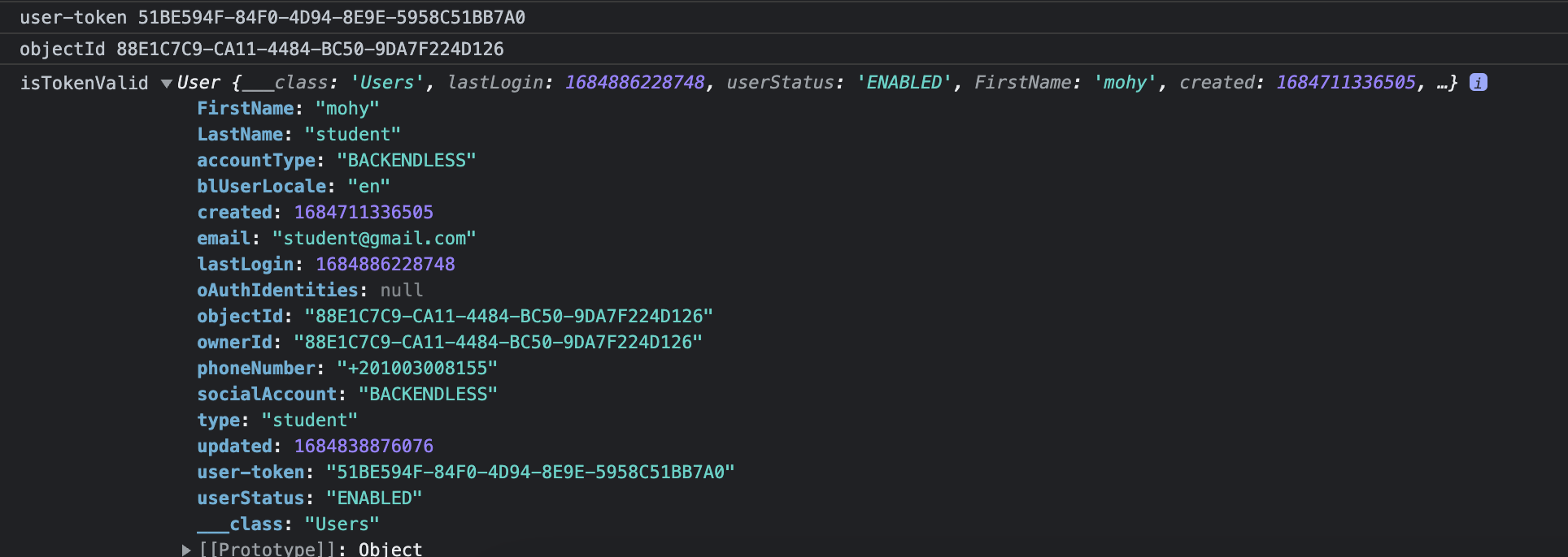 Add User Token To Headers In Js Sdk To Use After Login In Vue Js Javascript Backendless Support